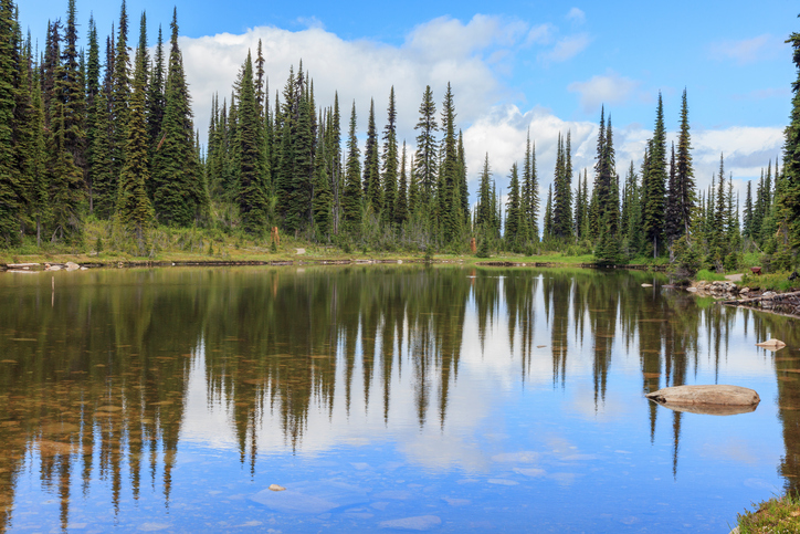 Flood watches issued for several B.C. rivers in wake of powerful storms