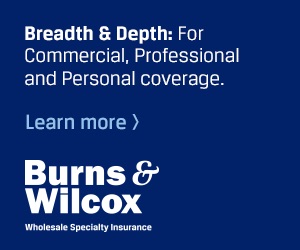 BW_Breadth_300x250_Static - Canadian Underwriter