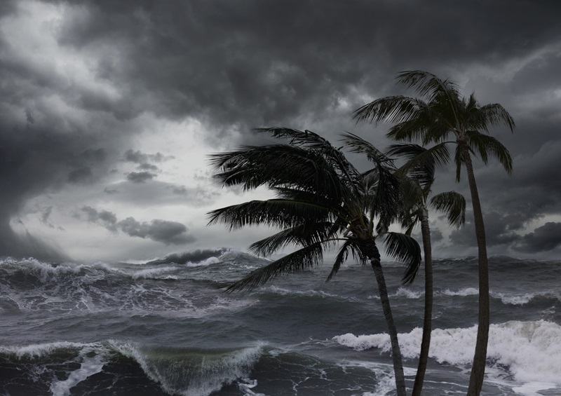 The hurricane AI saw coming