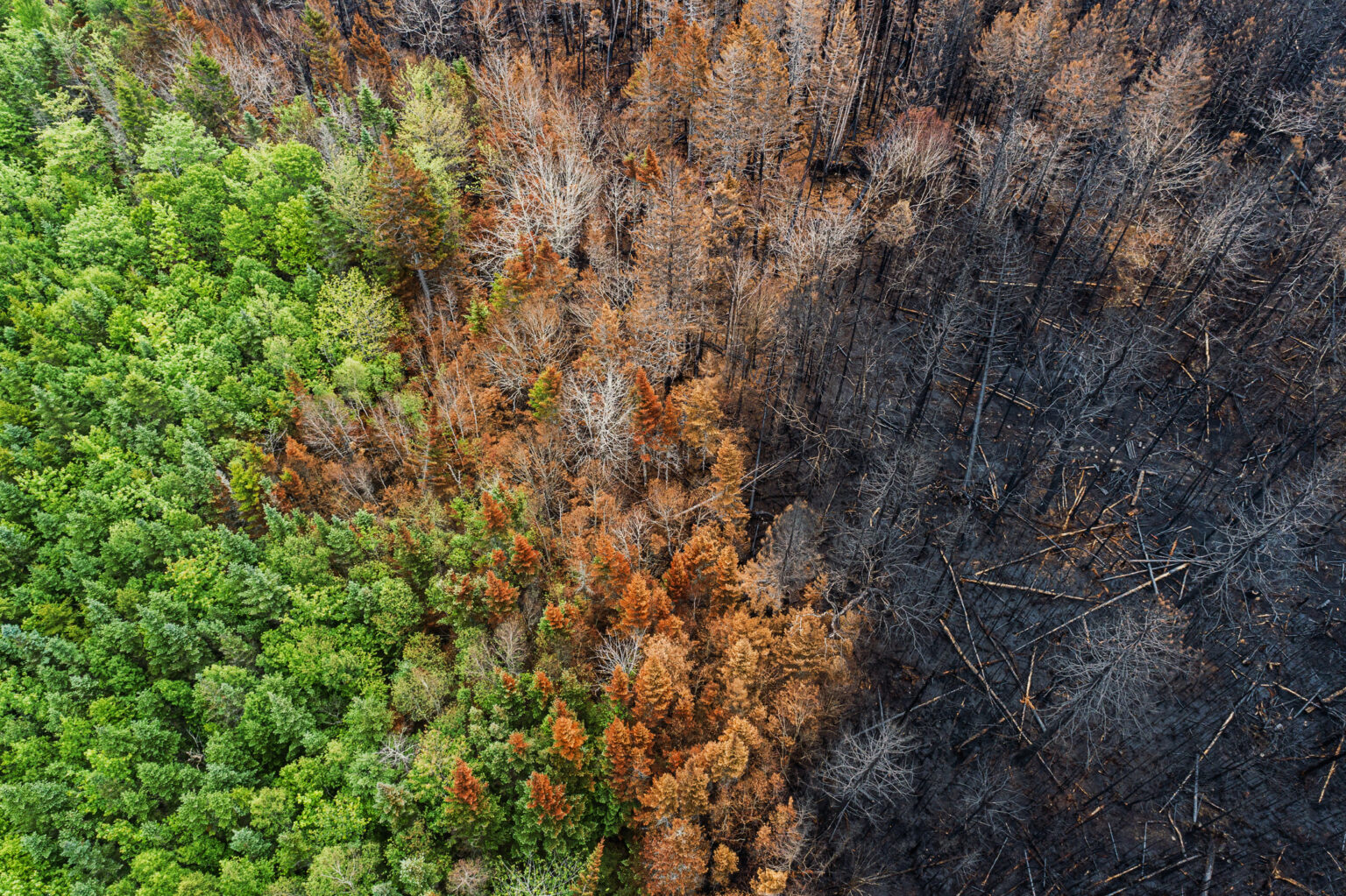 Ecclesiastical Insurance Issues Wildfire Risk Bulletin Ahead of Peak ...